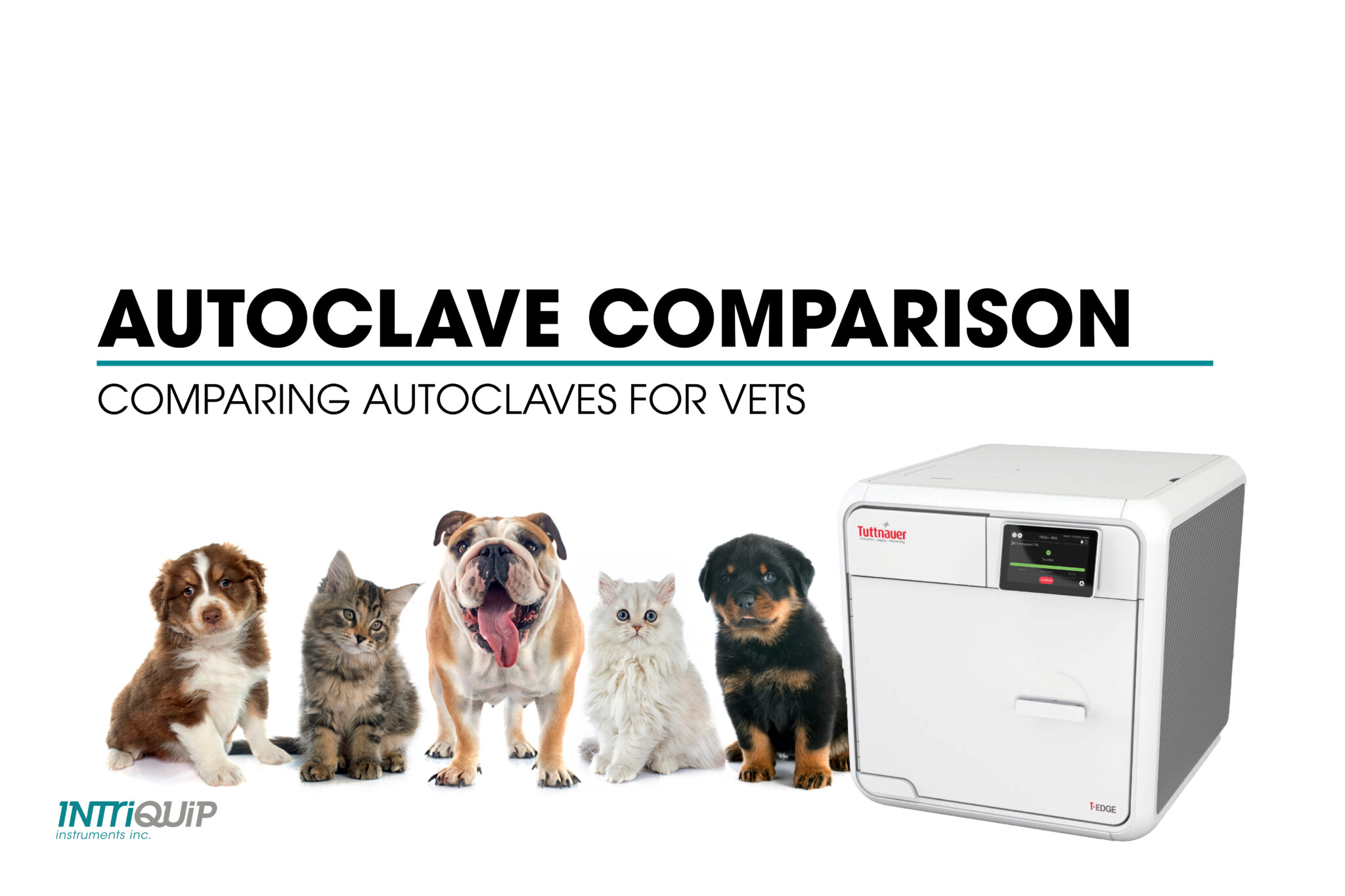 Tuttnauer Autoclave Comparison for Veterinarians | Intriquip
