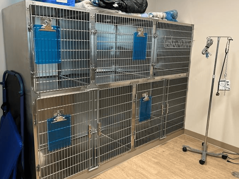 Veterinary Cages Information and PDF Guide | Intriquip
