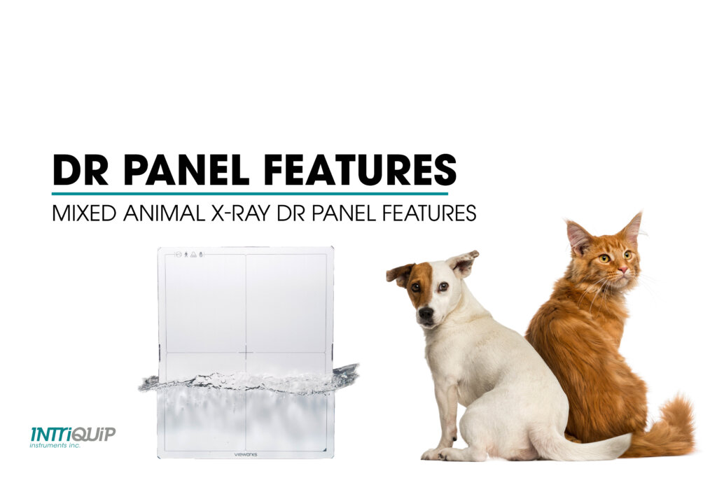 When to Upgrade from a CR to a DR X-Ray System | Intriquip